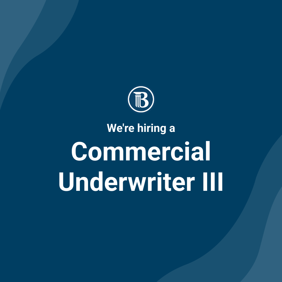 Commercial Underwriter III
