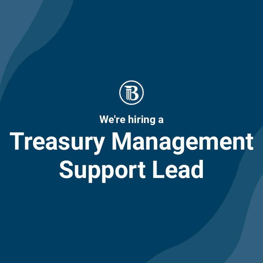 Treasury Management Support Lead