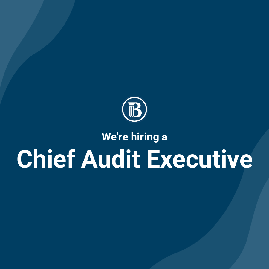 Chief Audit Executive