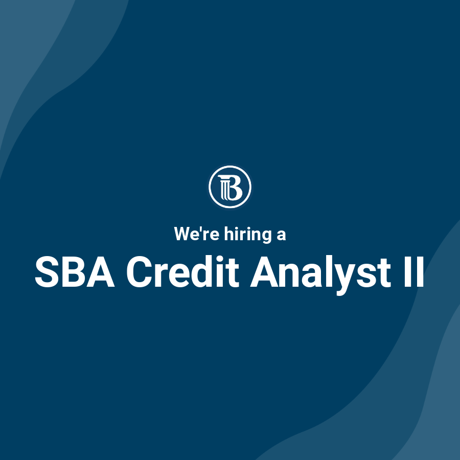 SBA Credit Analyst II