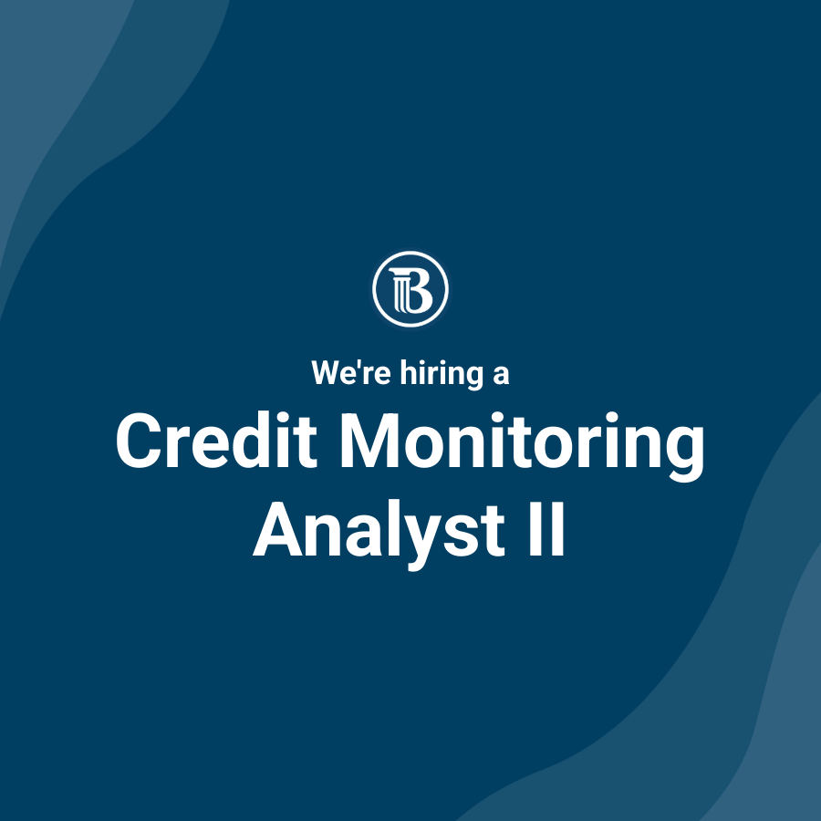 Credit Monitoring Analyst II