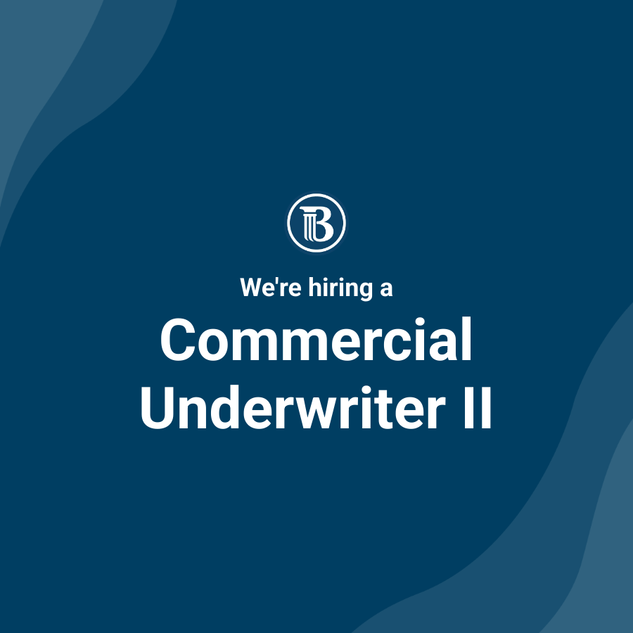 Commercial Underwriter II