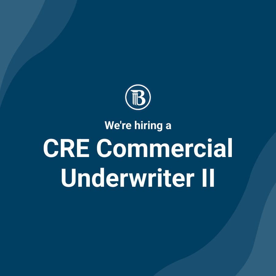 CRE Commercial Underwriter II
