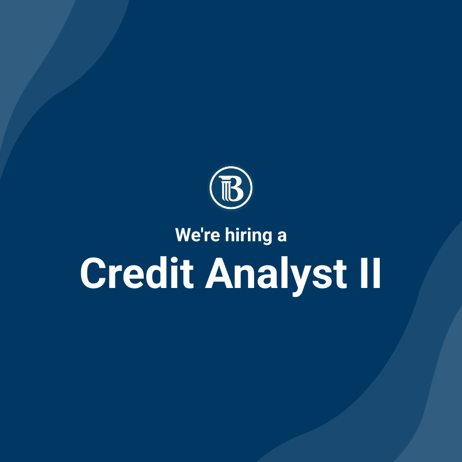 Credit Analyst II