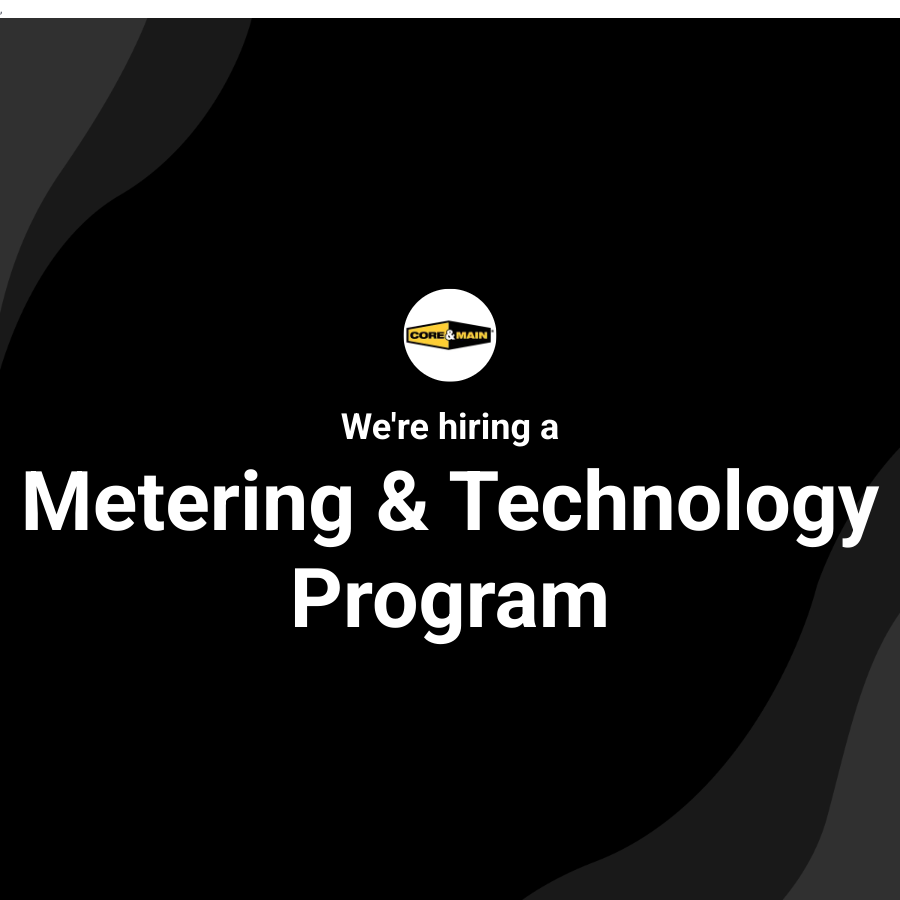 Metering & Technology Program