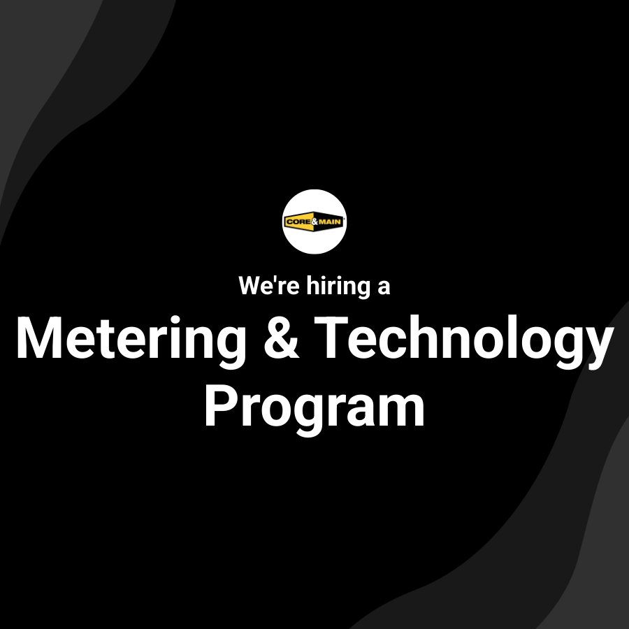 Metering & Technology Program