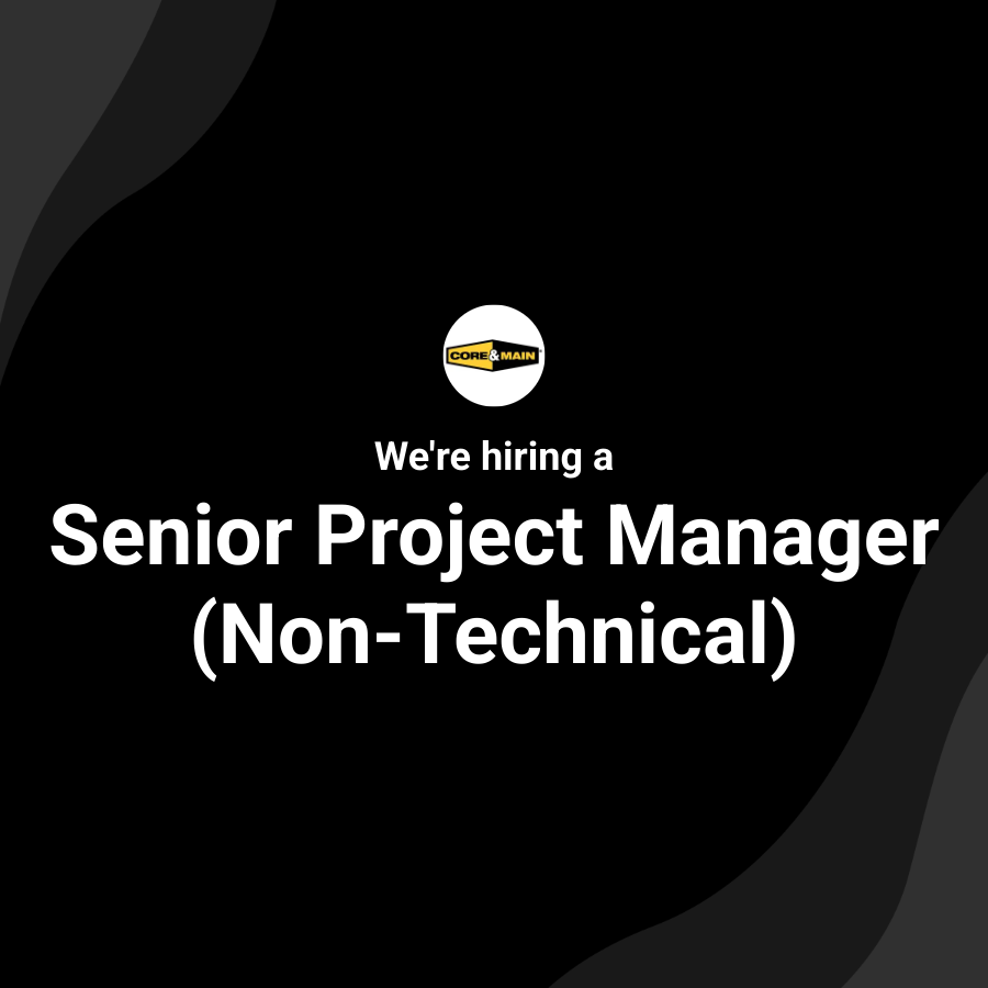 Senior Project Manager (Non-Technical)