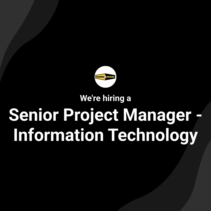 Senior Project Manager - Information Technology