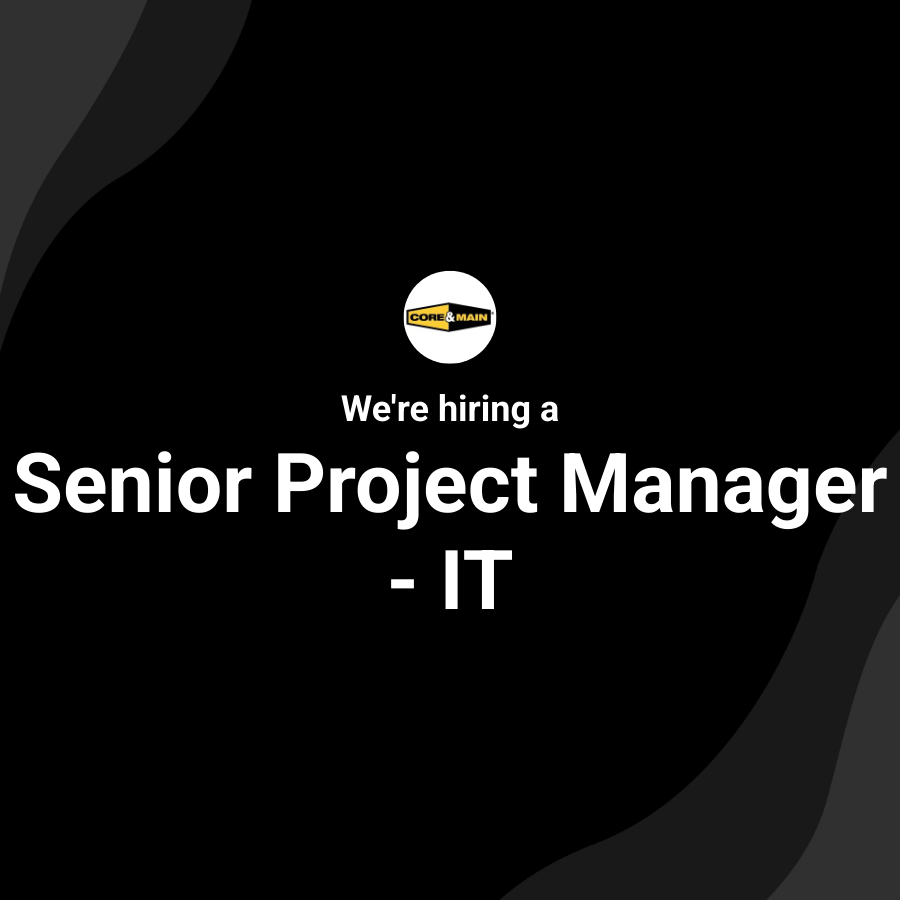 Senior Project Manager - IT