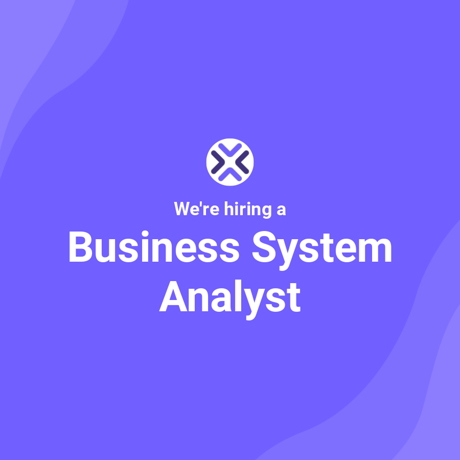 Business System Analyst